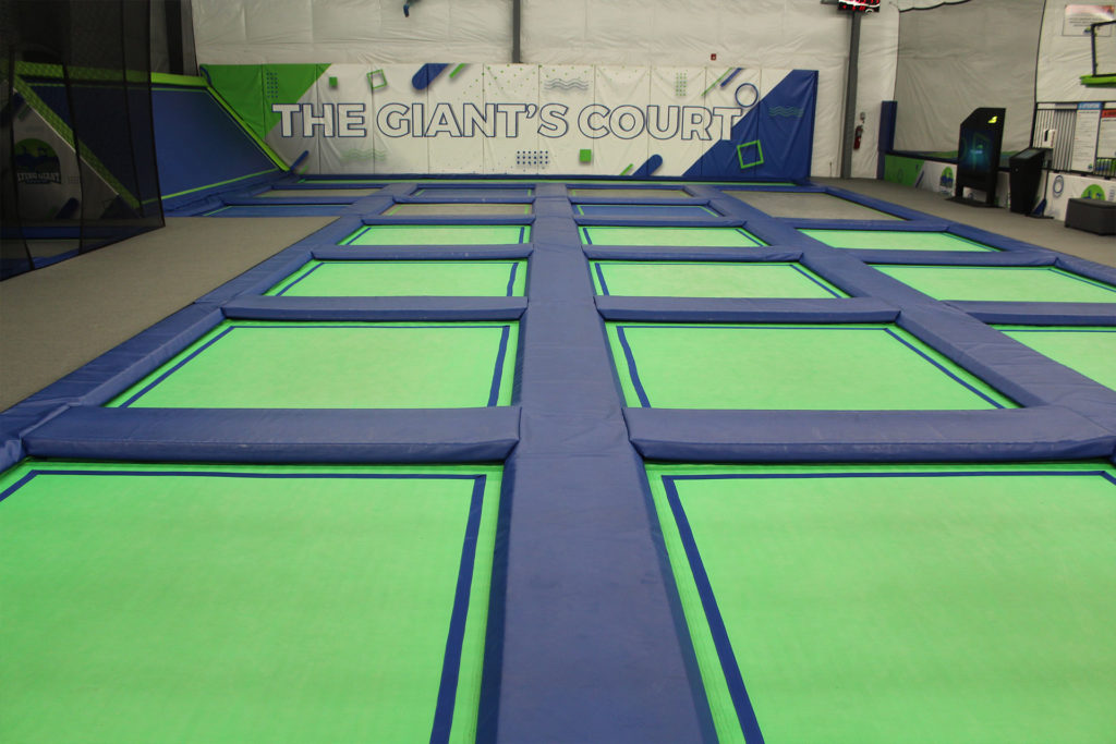 Attractions - Flying Giant